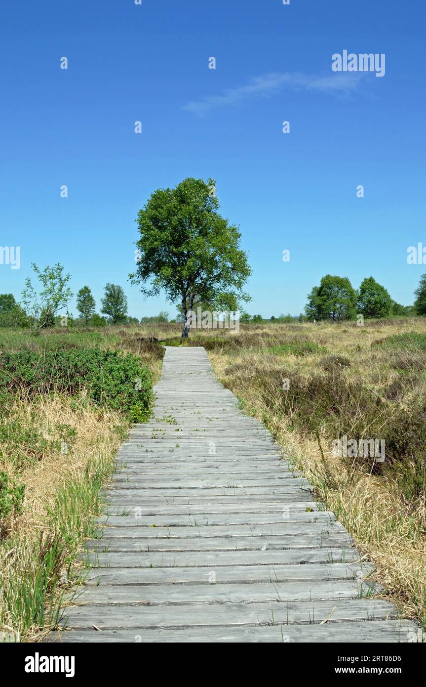 High Fens in the Eifel Stock Photo - Alamy