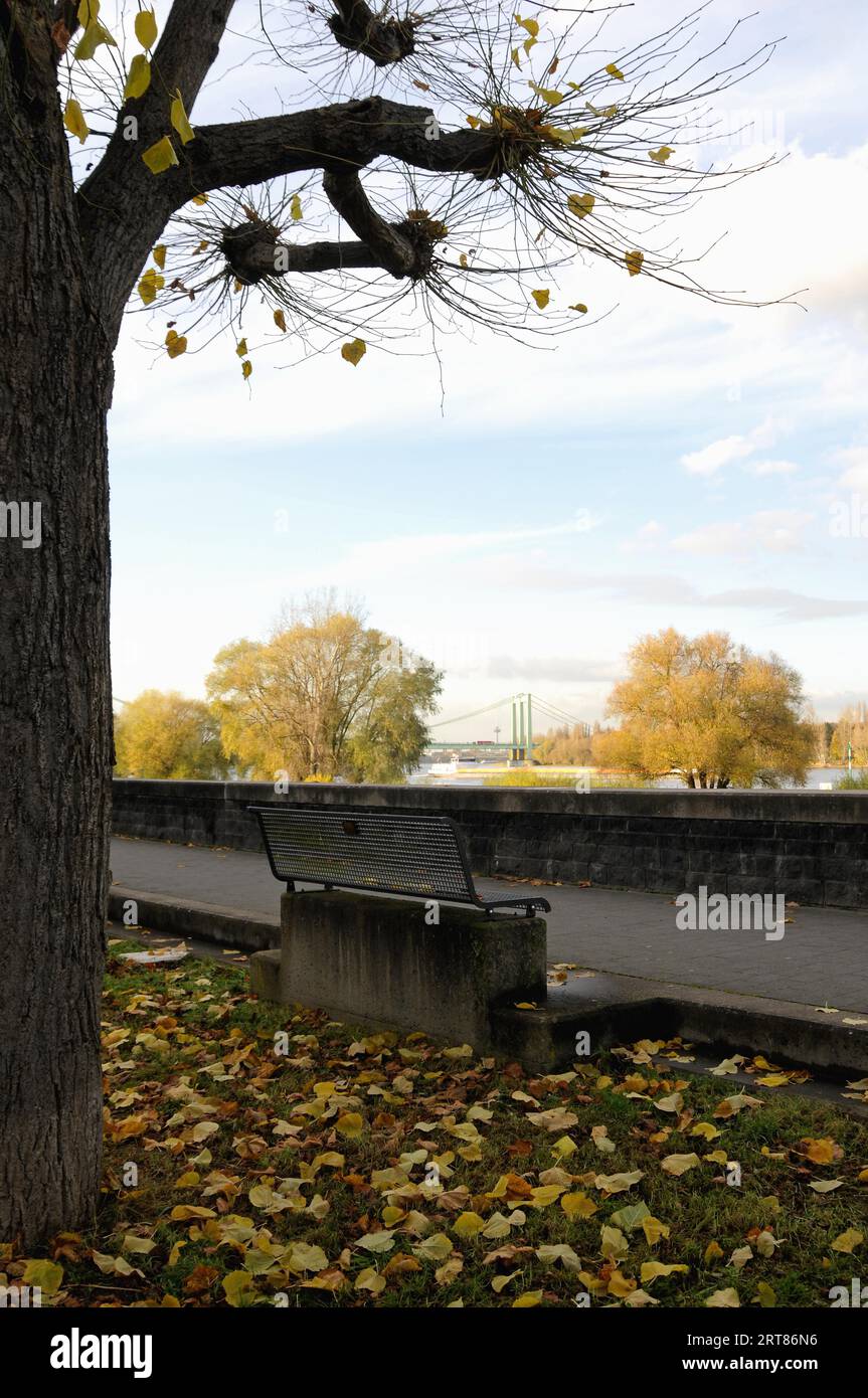 Peaceful resting place hi-res stock photography and images - Alamy