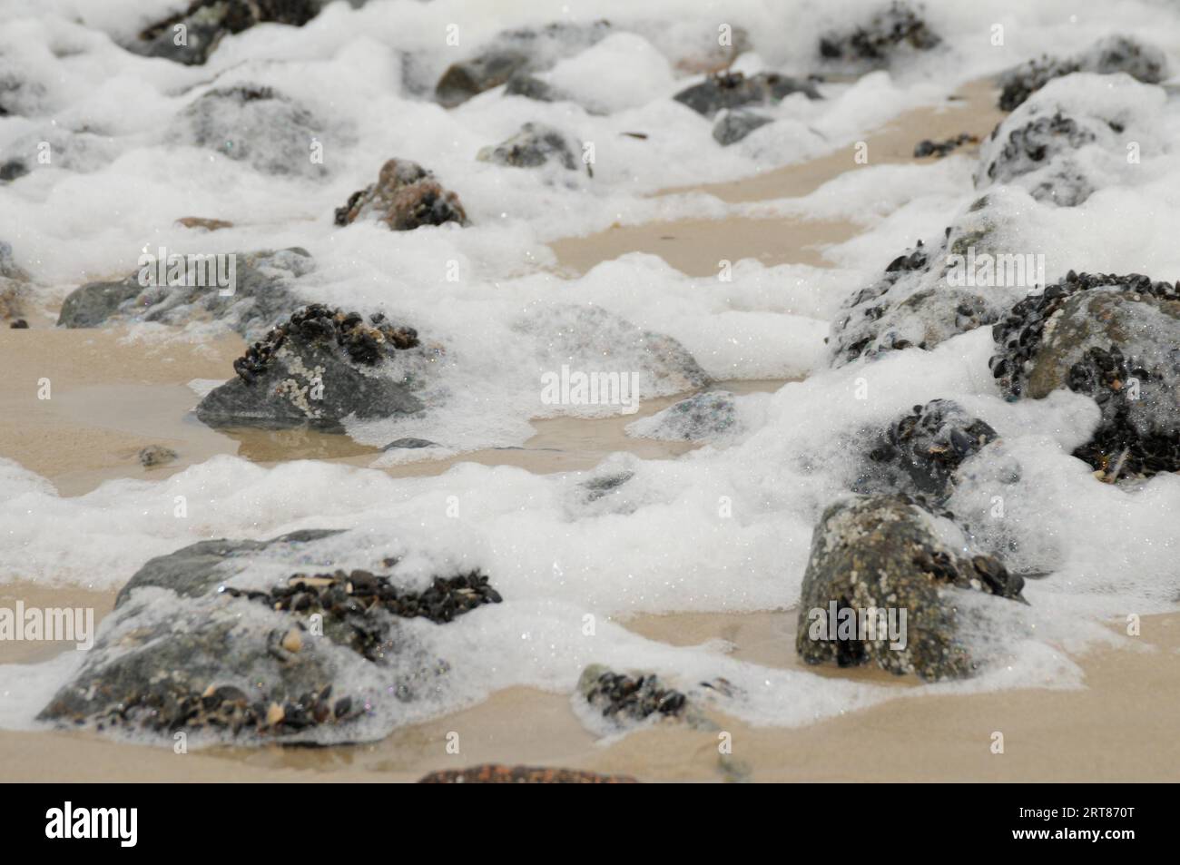 Beach rock with foam Stock Photo - Alamy