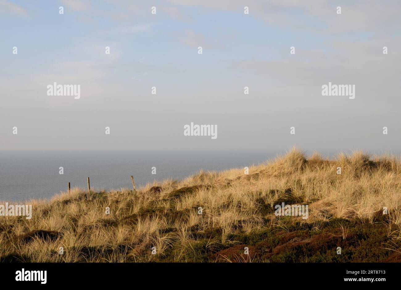 Dune landscape in front of the North Sea Stock Photo - Alamy