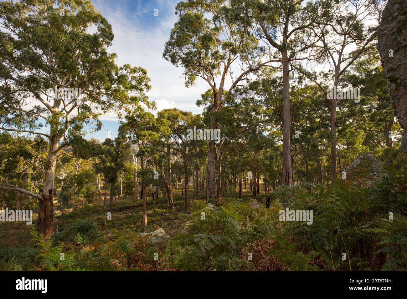 The popular tourist attraction of Hanging Rock. A volcanic group of ...