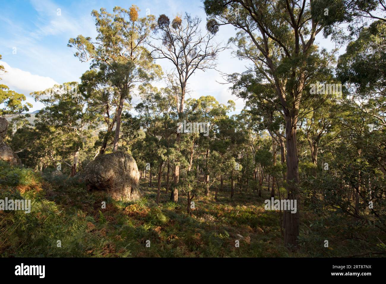 The popular tourist attraction of Hanging Rock. A volcanic group of ...