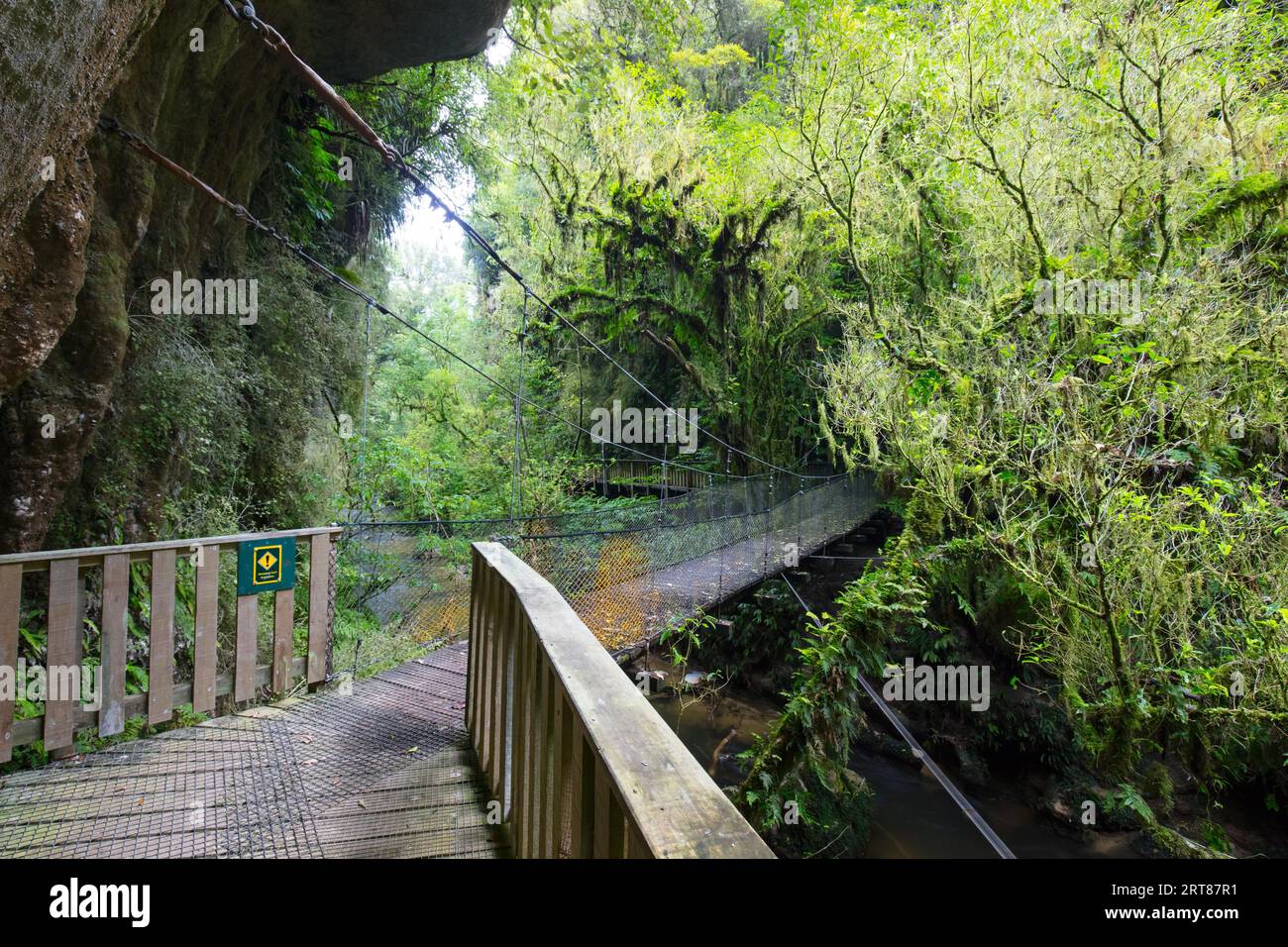 The famous Mangapohue Natural Bridge near Waitomo Caves on New Zealand ...