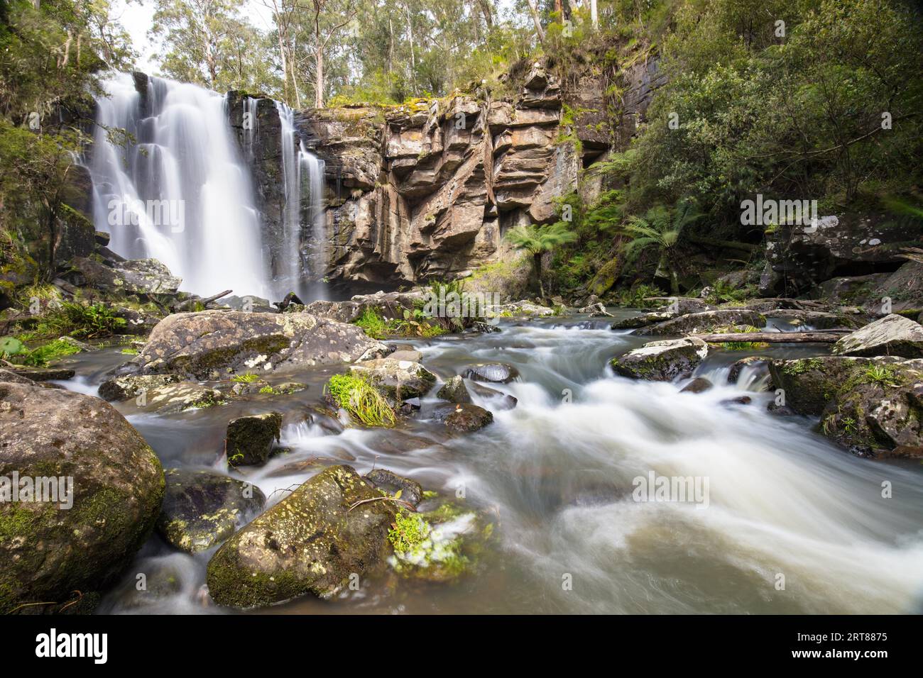 The world famous Phantom Falls, near Lorne, Victoria, Australia Stock Photo - Alamy