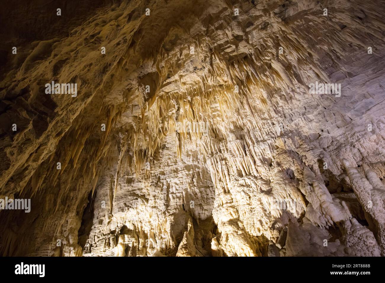 The magnificent structures inside Ruakuri Caves in Waitomo, New Zealand ...