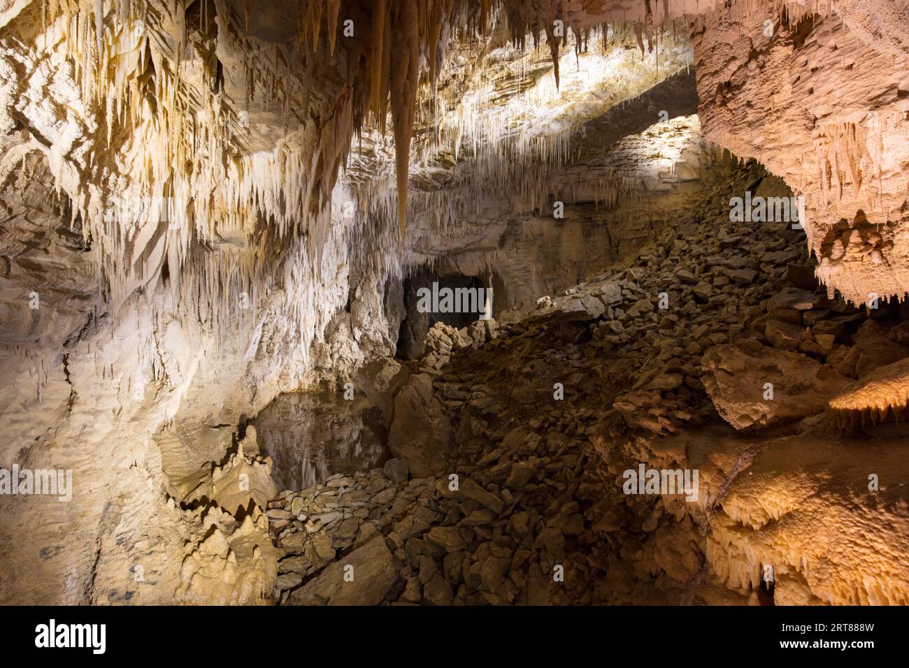 The magnificent structures inside Ruakuri Caves in Waitomo, New Zealand ...
