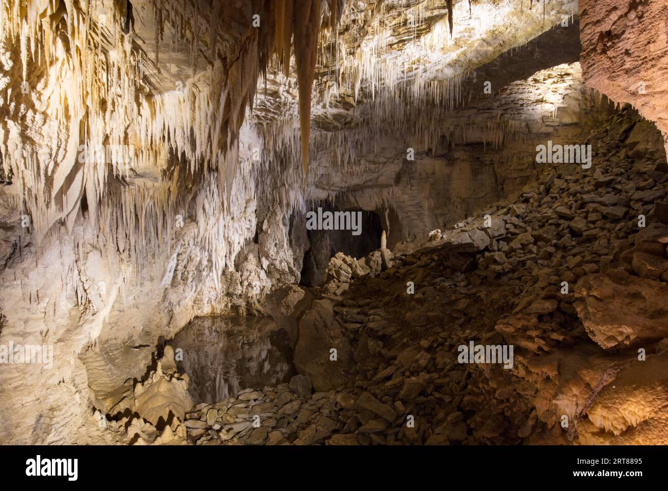 The magnificent structures inside Ruakuri Caves in Waitomo, New Zealand ...