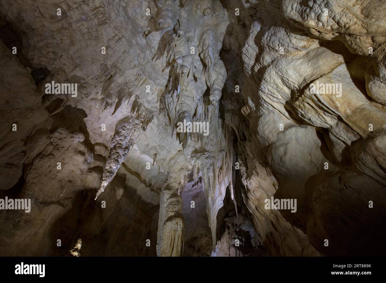 The magnificent structures inside Ruakuri Caves in Waitomo, New Zealand ...