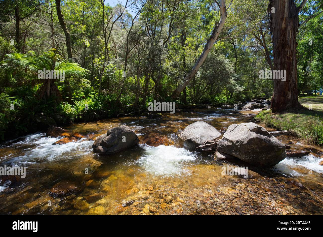 The Delatite River at Mirimbah at the Base of Mt Buller in Victoria ...