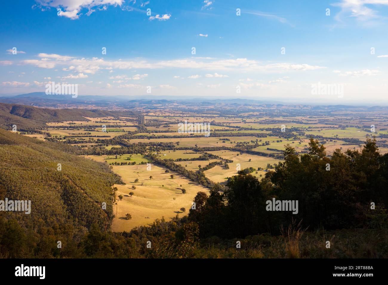 Australian buffalo hi-res stock photography and images - Alamy