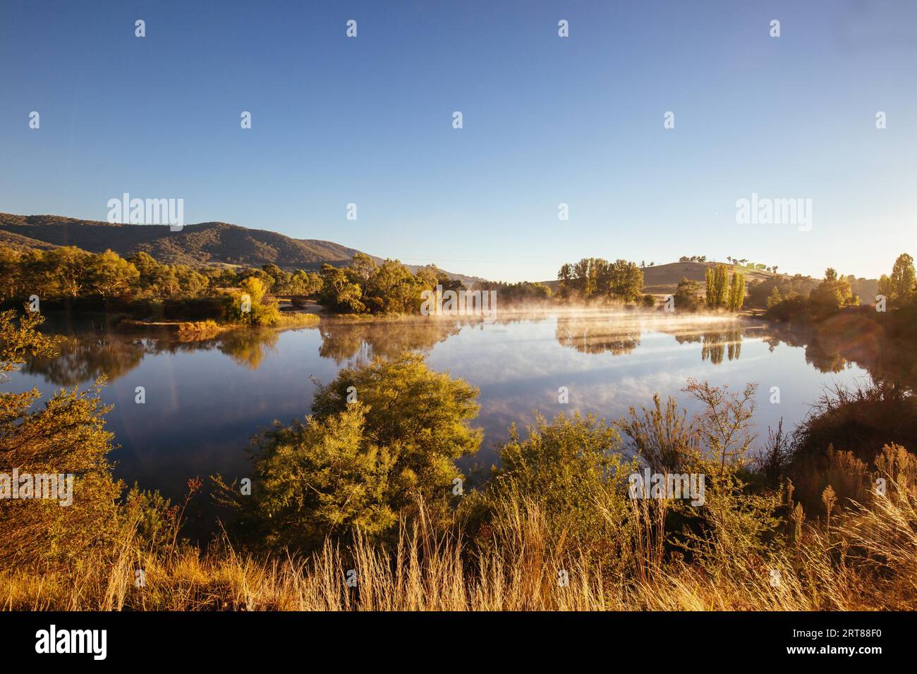 Classic Australian landscape and misty lake on a cold morning in Allans ...