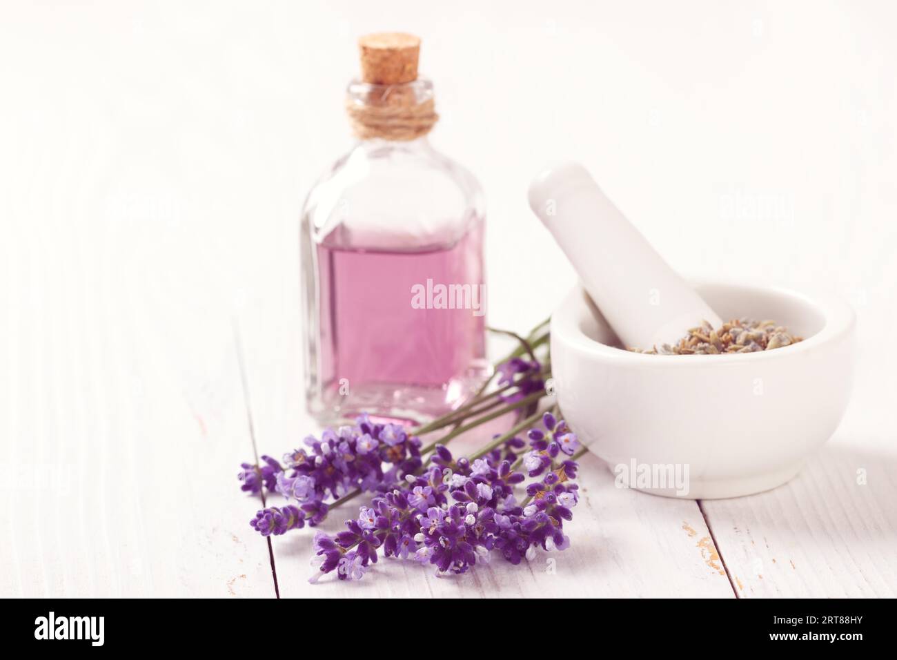 Bunch of lavender, essential oil and dry flowers in a mortar over white background. Spa and ...