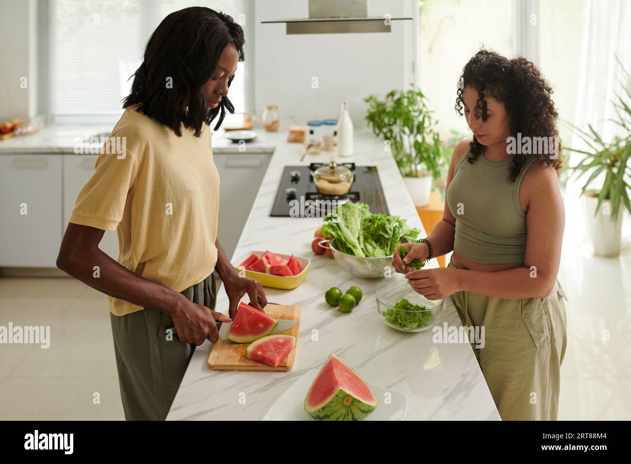 Young women making healthy delicious dinner at kitchen counter Stock ...
