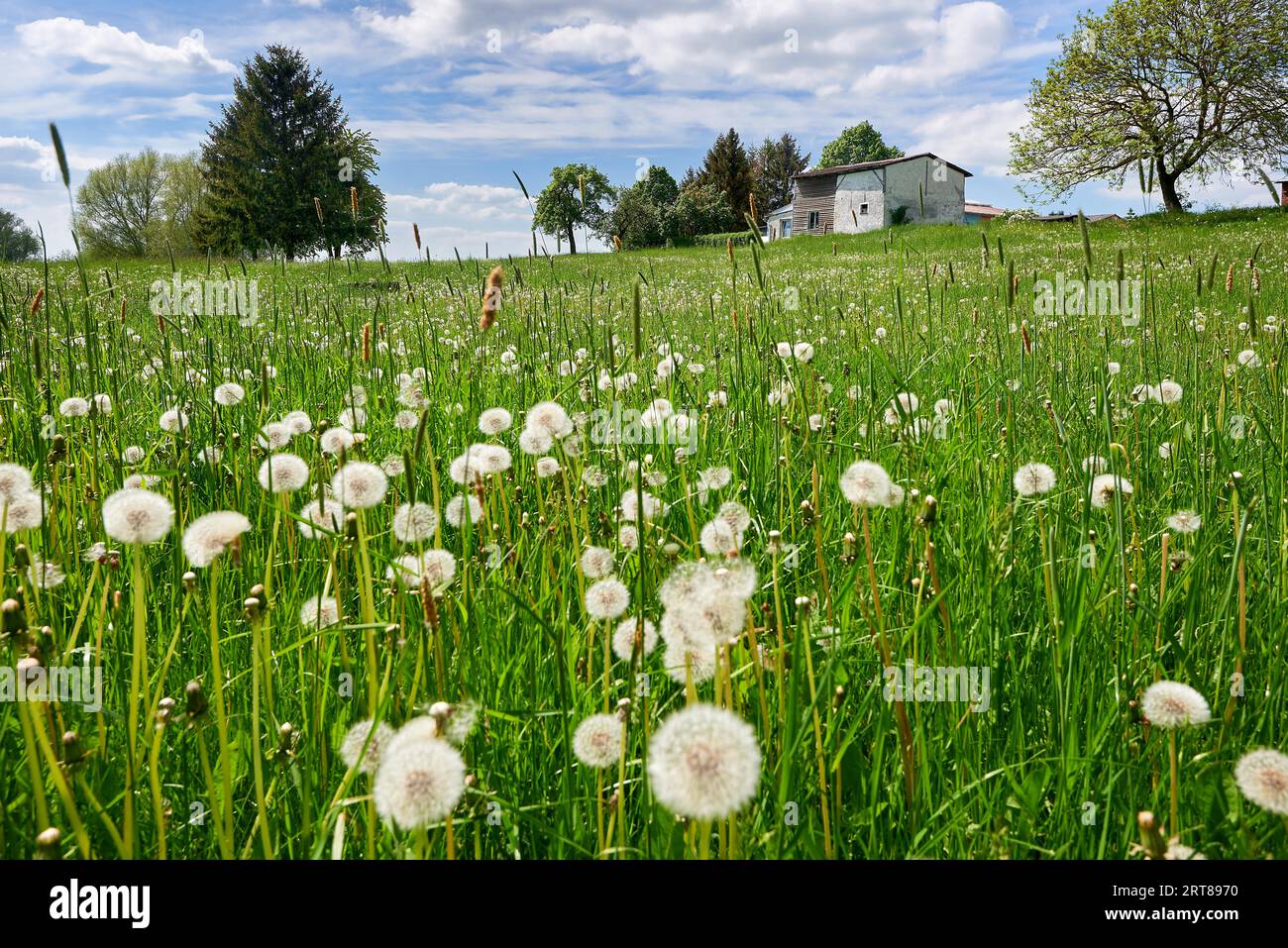 Beautiful quiet serene hi-res stock photography and images - Alamy