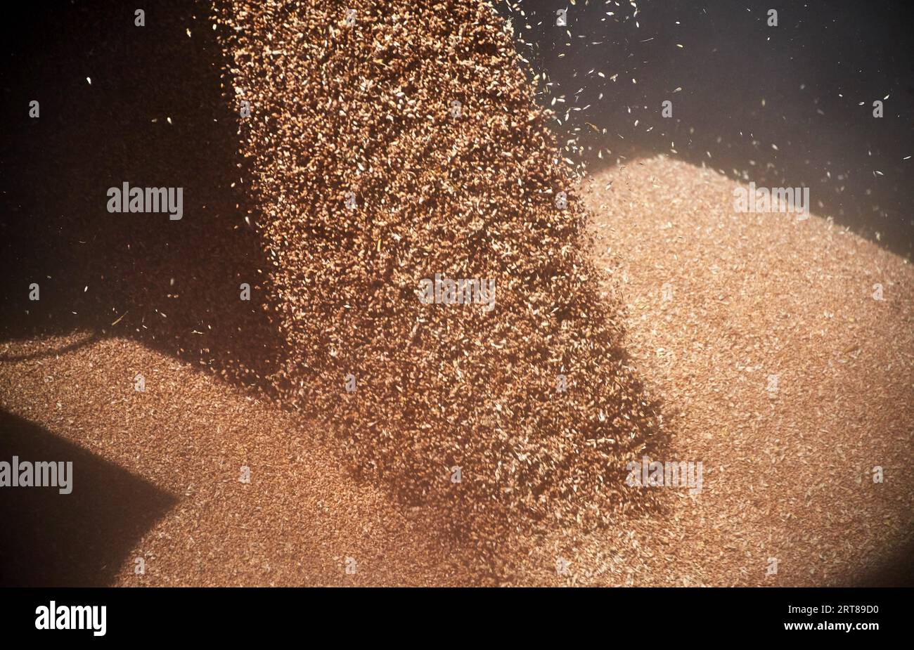 Combine harvester unloading tractor hi-res stock photography and images ...