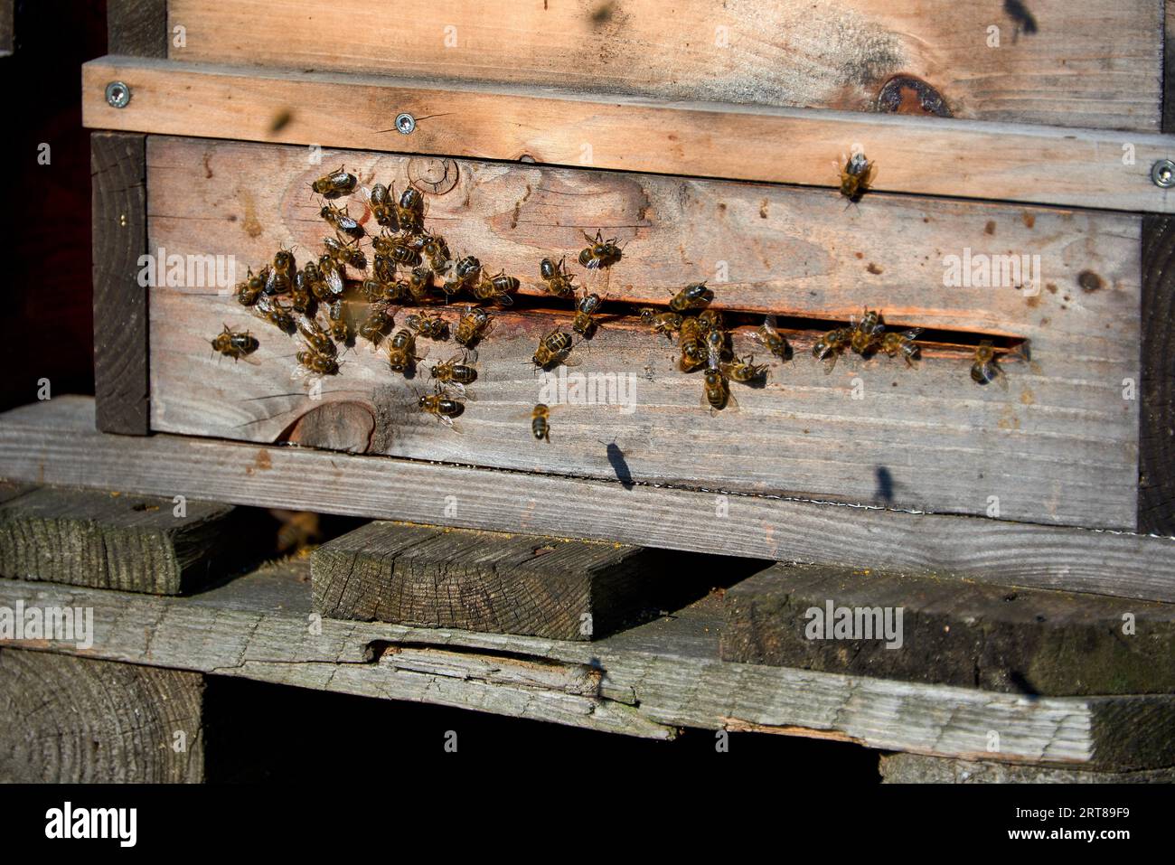 Arrive protection hi-res stock photography and images - Alamy