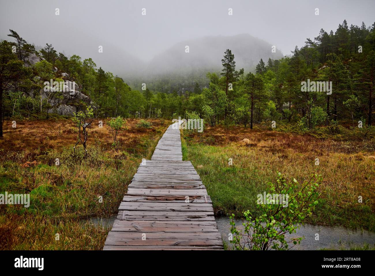 Hiking to preikestolen platform in norway Stock Photo - Alamy