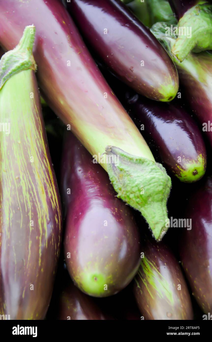 Eggplant - Close Up Stock Photo - Alamy