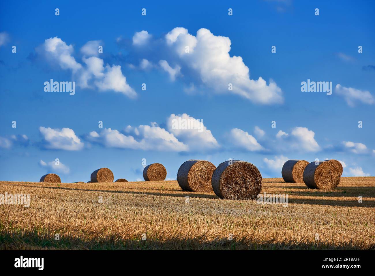 Straw bale on field in autumn Stock Photo - Alamy