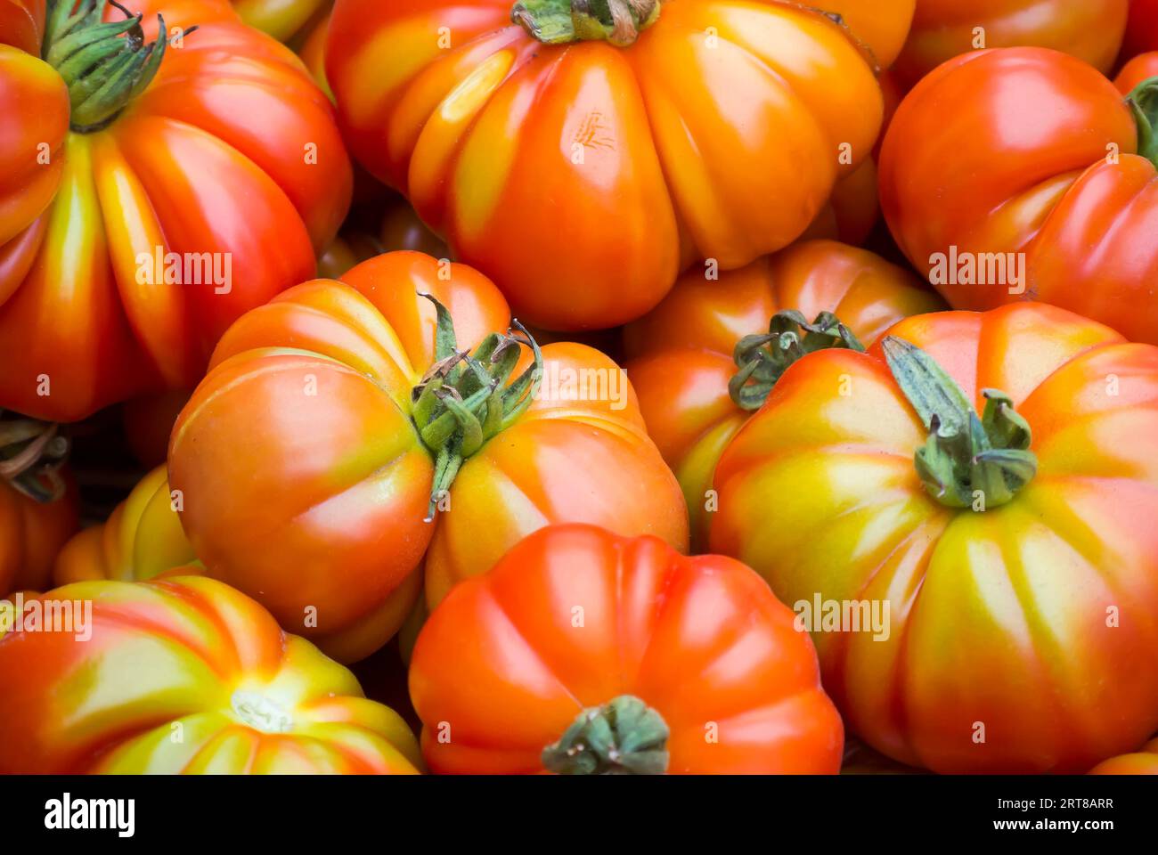 Ribbed tomatoes hi-res stock photography and images - Alamy