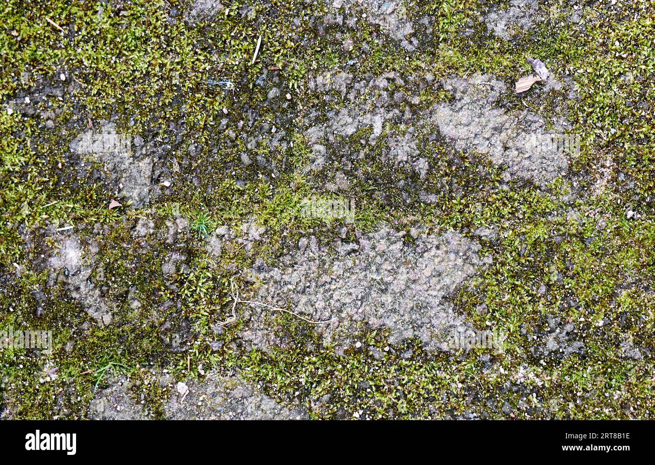Natural stone plaster hi-res stock photography and images - Alamy
