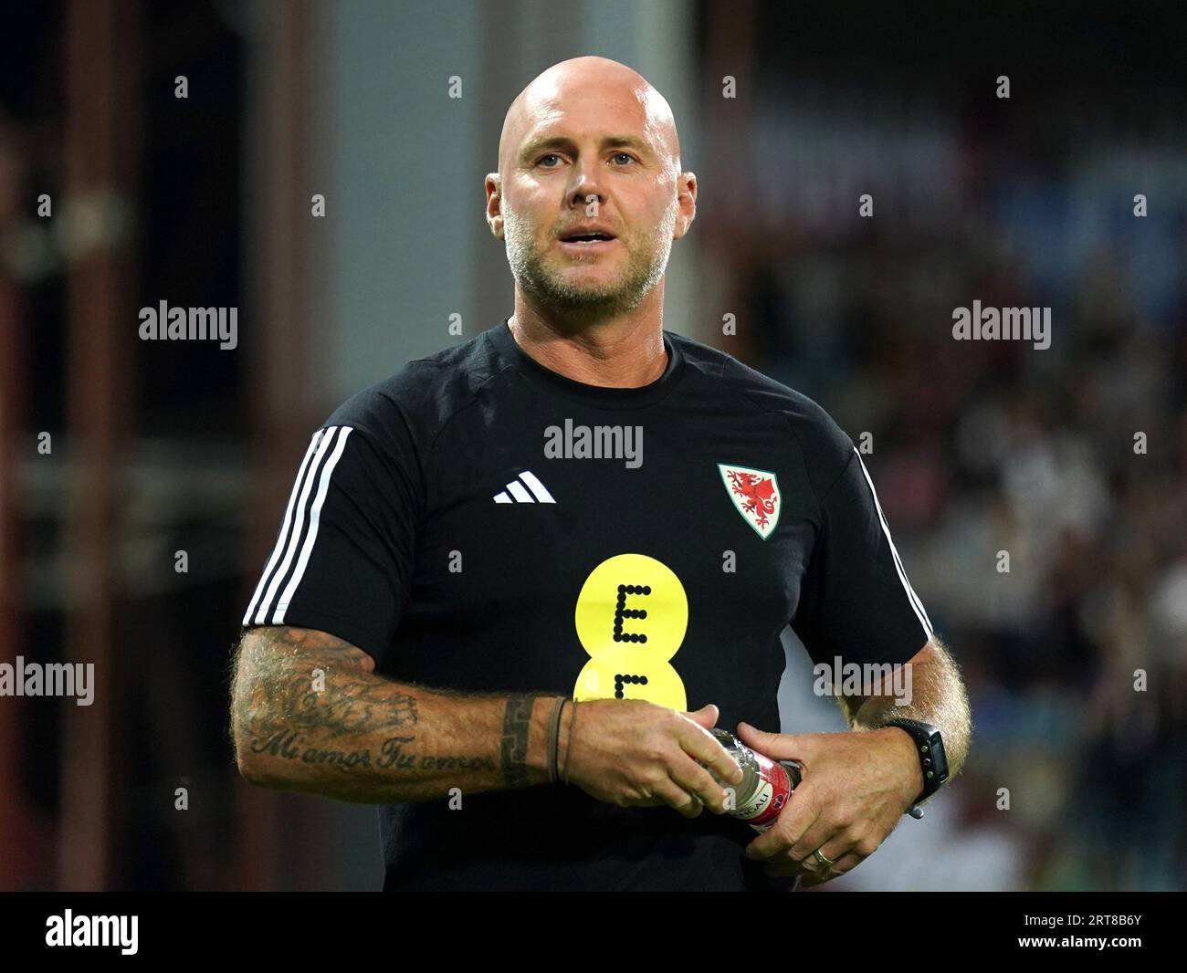 Wales manager Rob Page during the UEFA Euro 2024 Qualifying Group D ...