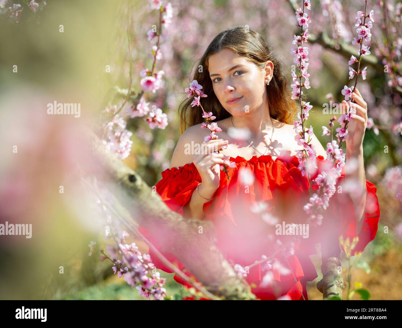 Lady wearing red dress and posing in park with blooming trees Stock ...