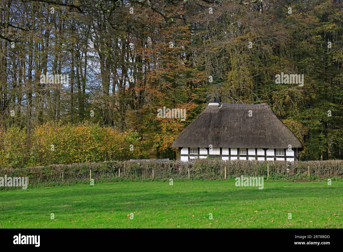 Abernodwydd thatched half-timbered farmhouse, St Fagans National Museum ...