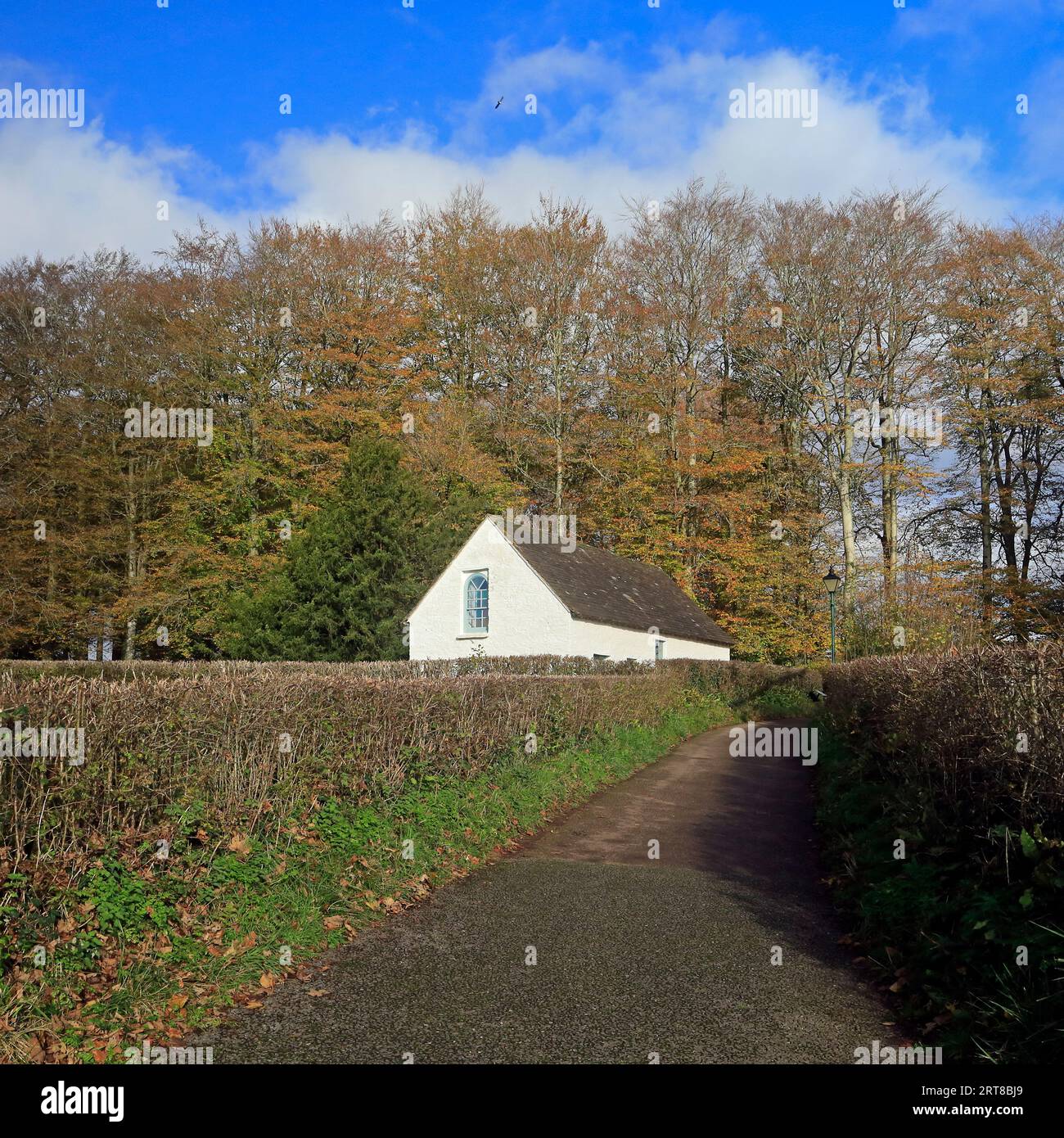 Pen dinas autumn hi-res stock photography and images - Alamy