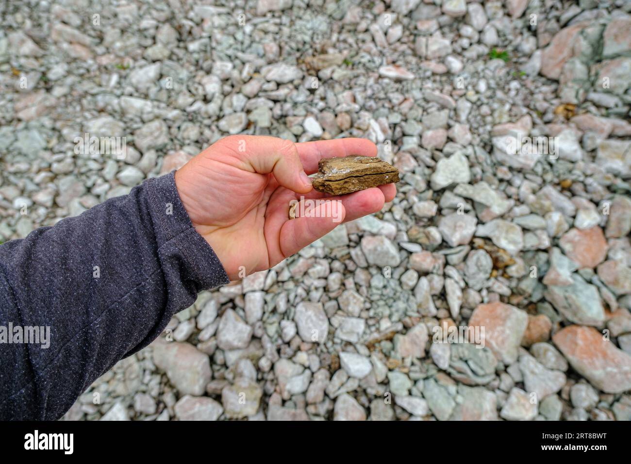 Oil shale stone in human hand. Sedimentary rocks rich in kerogen. Slate ...
