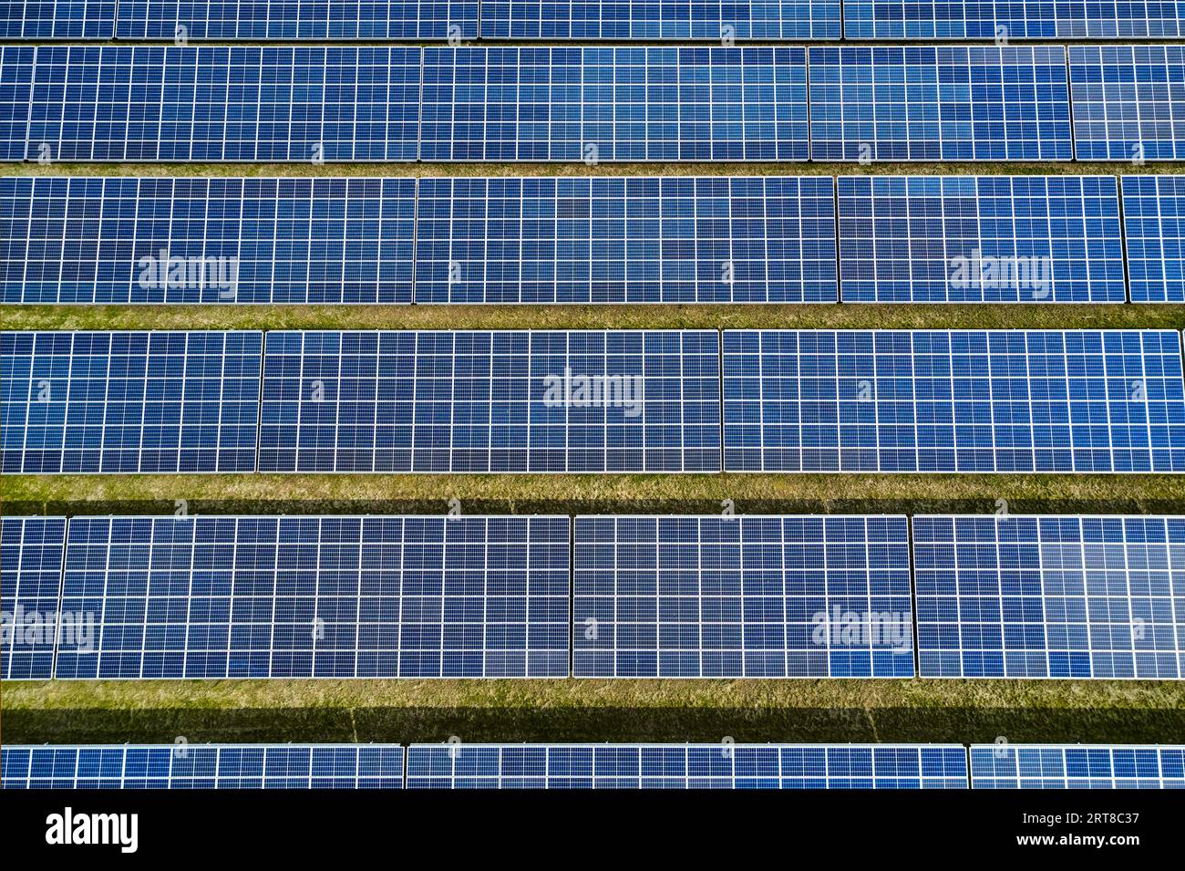 Solar panel field at work with sun reflection Stock Photo - Alamy