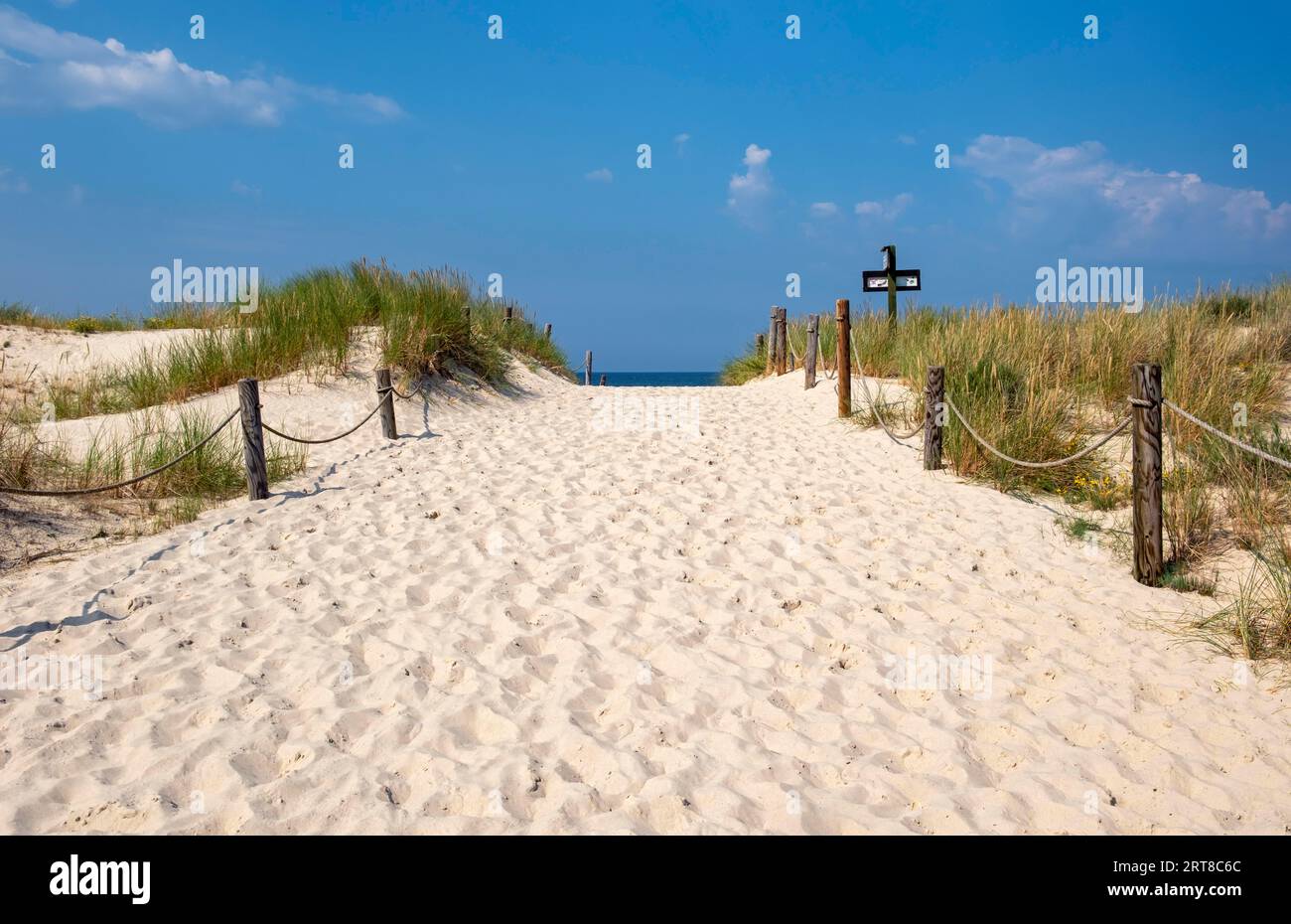 Sandy trail, Slovincian National Park, Slowinski Park Narodowy, Poland ...