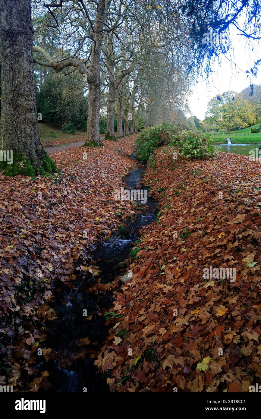Small stream with autumn leaves, The National Museum of Histoy, Cardiff ...