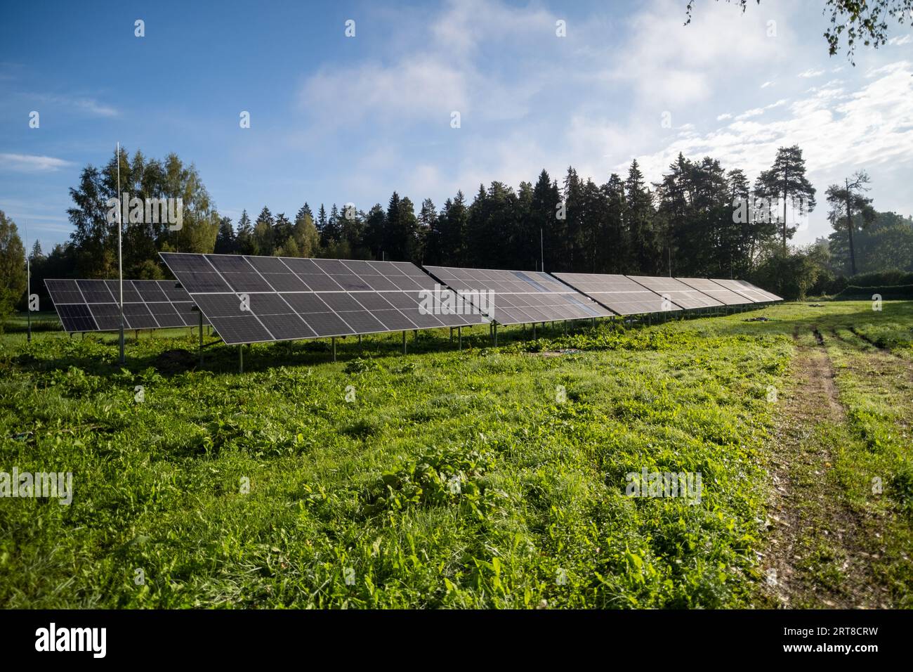 Solar panels with nano coating. Renewable energy from the sun, green ...