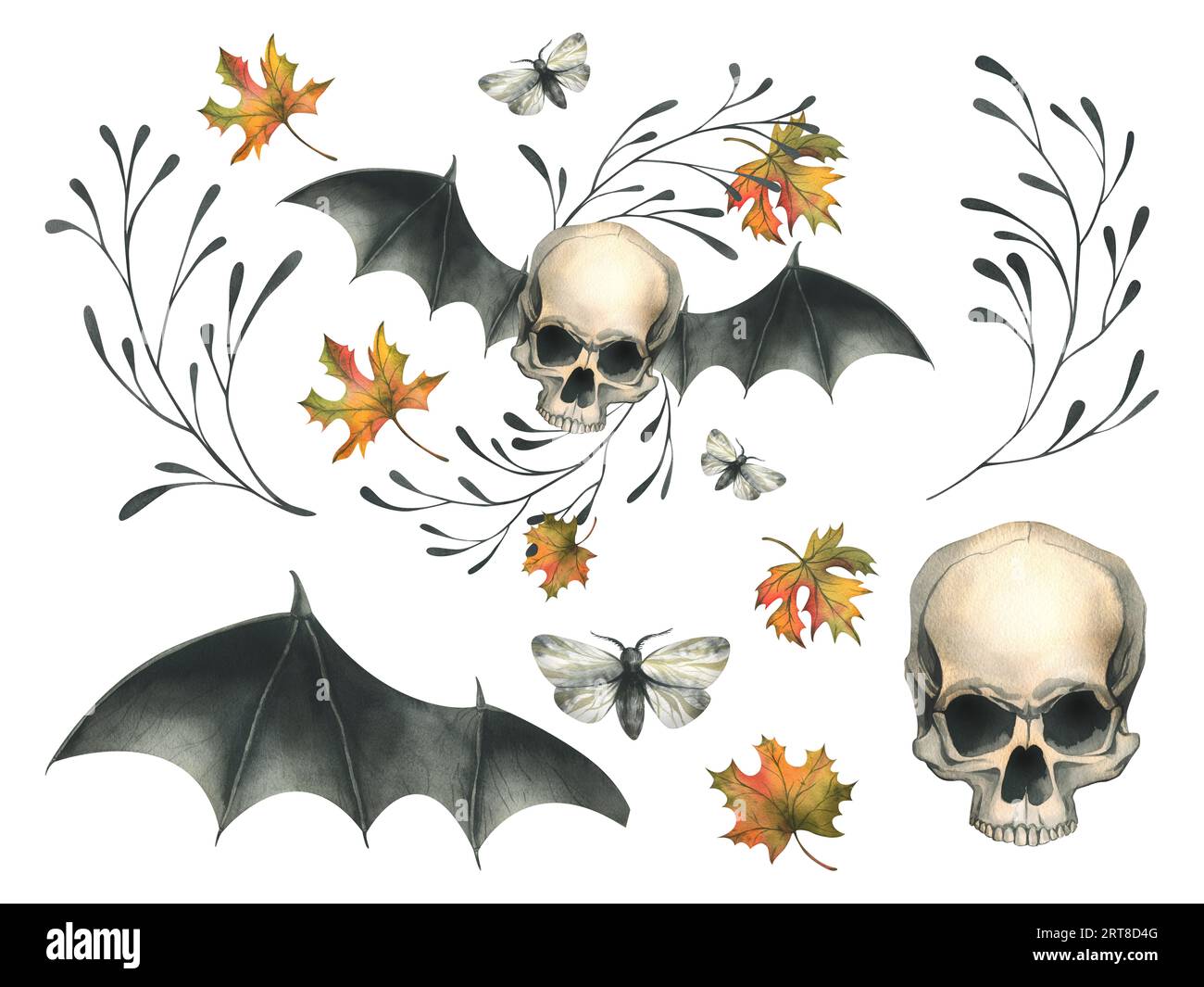 Human skull flying with bat wings, night moths cobwebs, and autumn ...