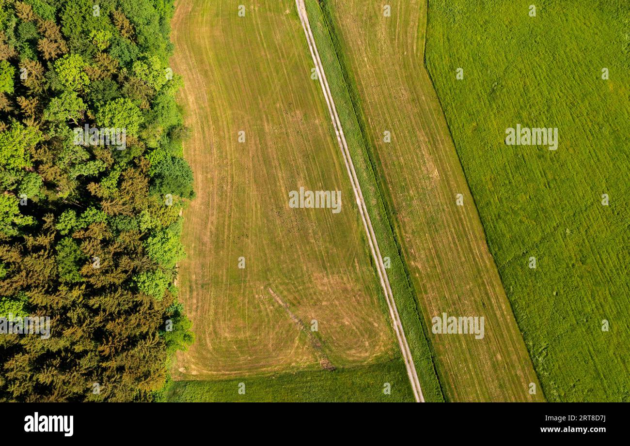 Drone shot, meadow path leads through mown meadows, from above ...