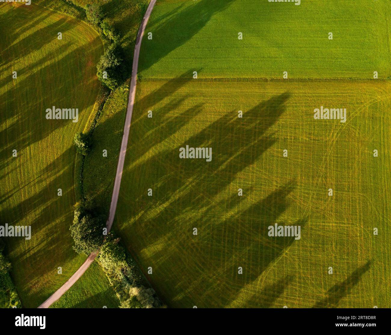 Drone image, tracks on a mown meadow with shadow of trees, from above ...