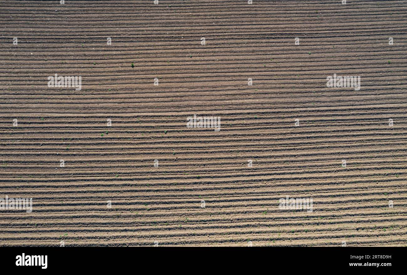Drone image, ploughed field, from above, structure, agriculture ...