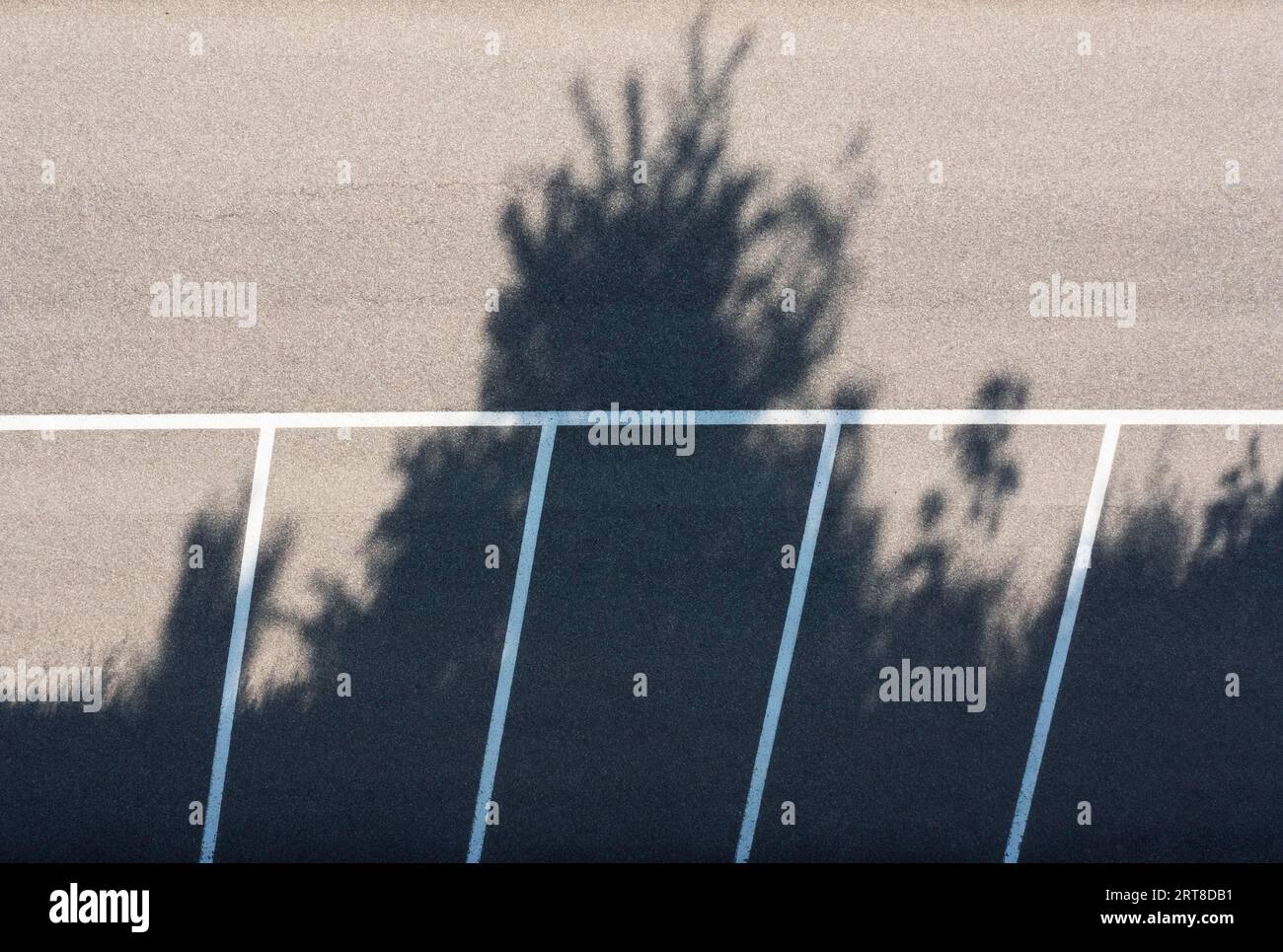 Drone shot, empty car park with shadows cast by trees, from above ...