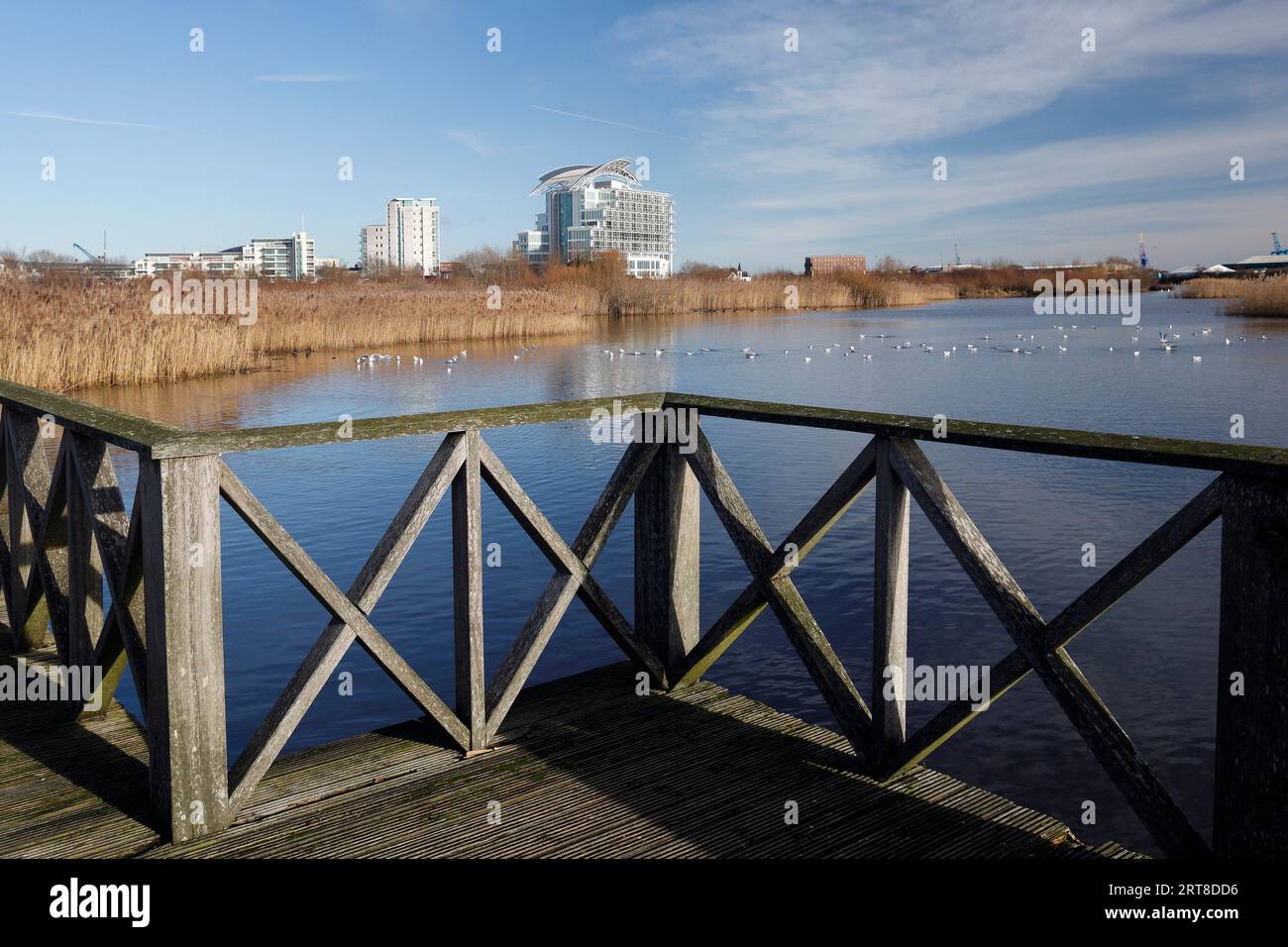 View from visitors platform, Cardiff Bay Wetland Nature Reserve, across ...