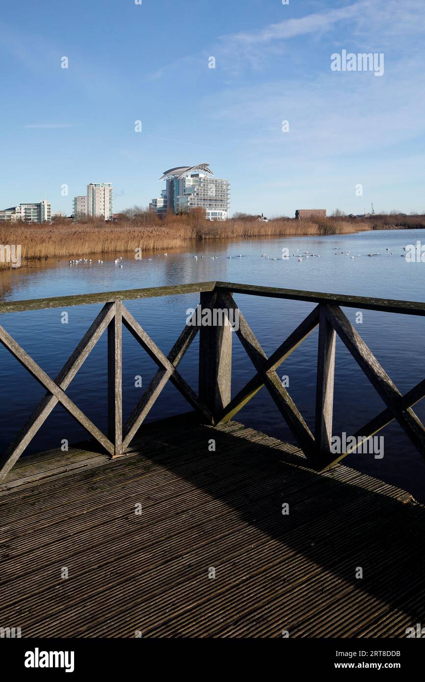 View from visitors platform, Cardiff Bay Wetland Nature Reserve, across ...