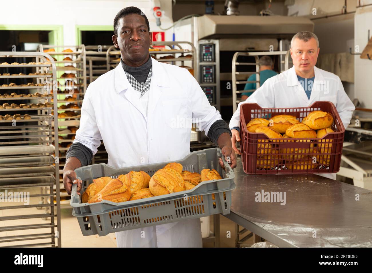 Bakers arranging bakery products Stock Photo - Alamy