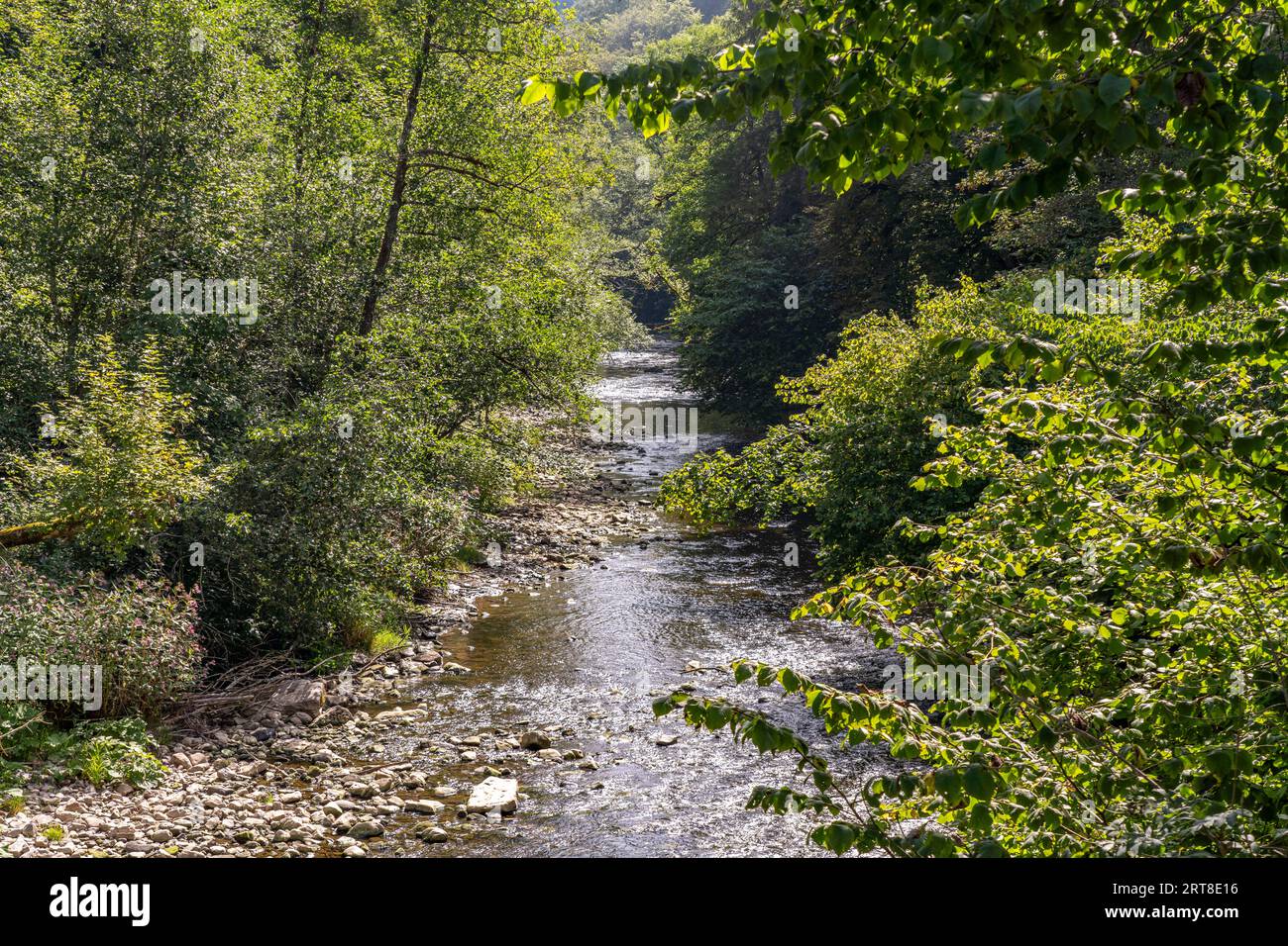 Fluss wutach in der wutachschlucht hi-res stock photography and images - Alamy