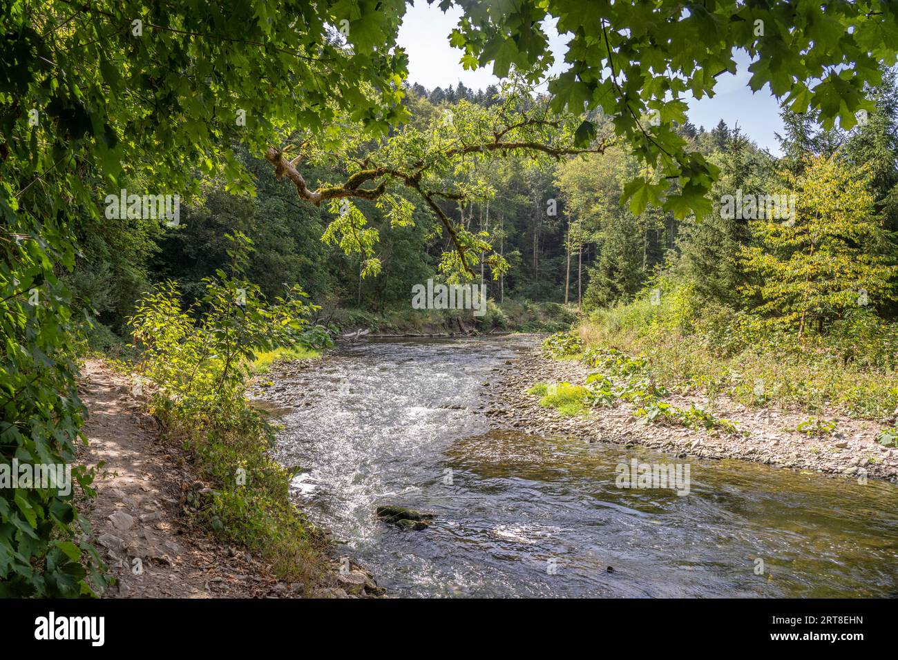 Fluss wutach in der wutachschlucht hi-res stock photography and images - Alamy