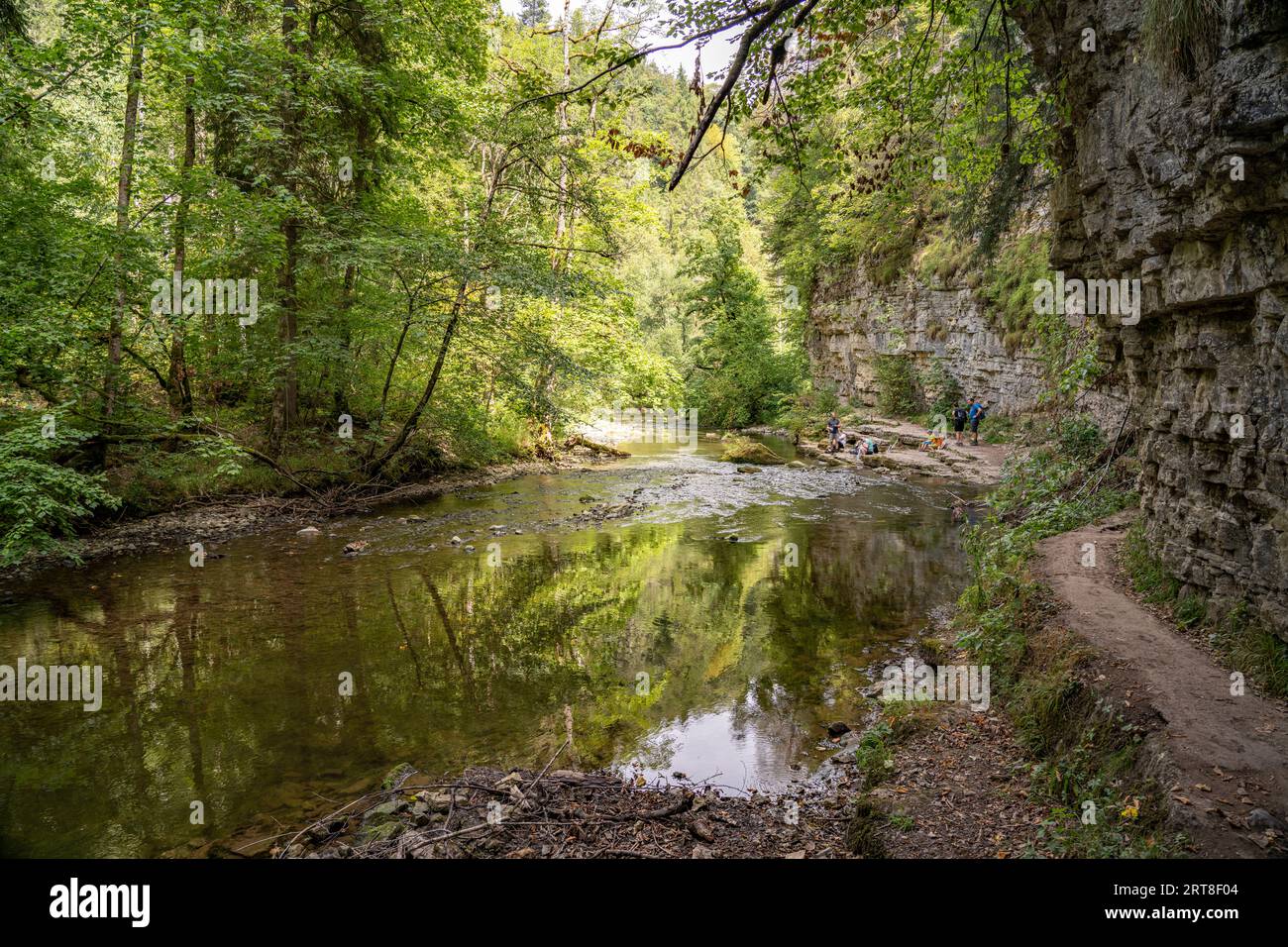 Felswand und der Fluss Wutach in der Wutachschlucht, Schwarzwald, Baden ...