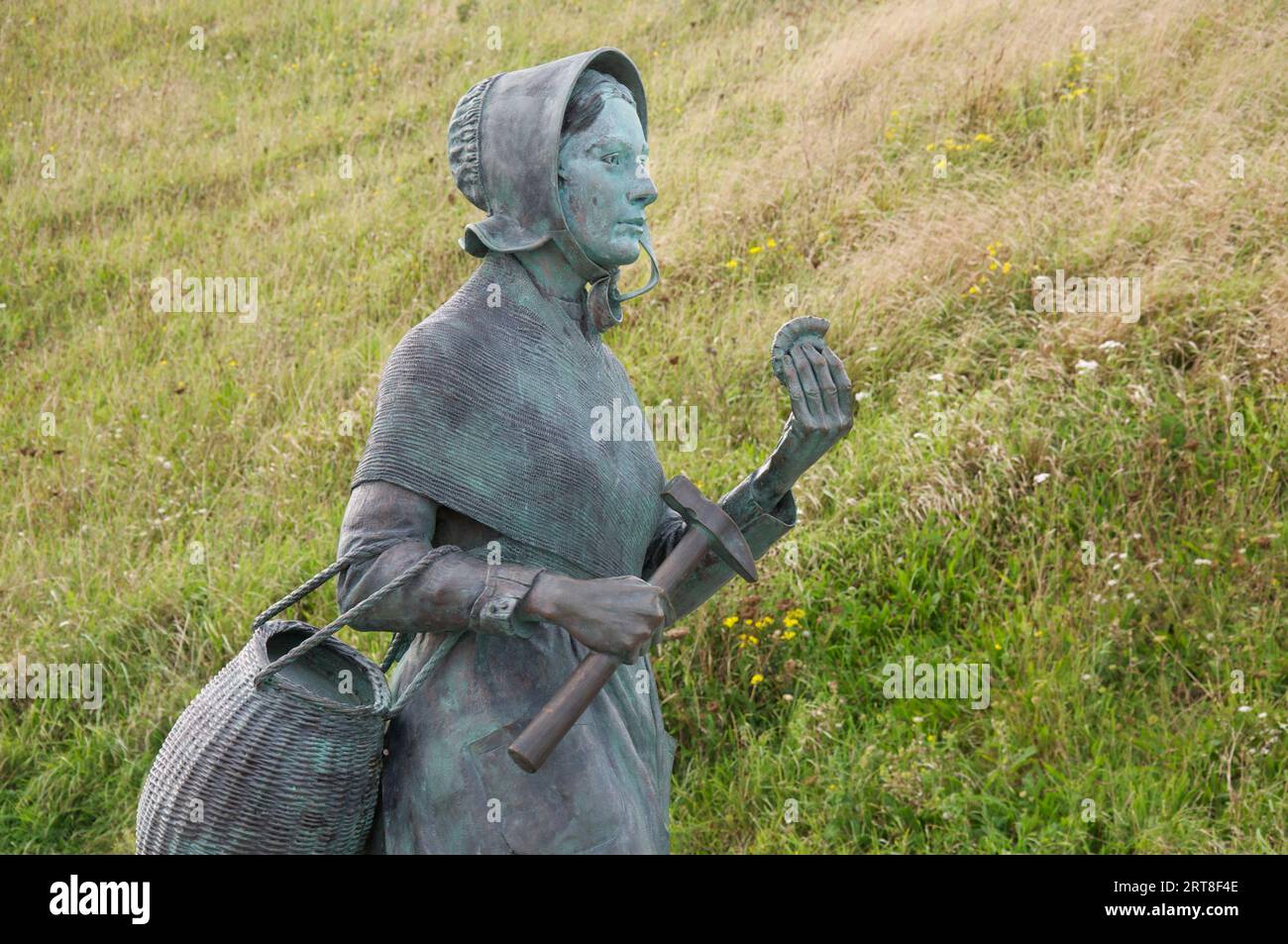 Bronze statue of the pioneering palaeontologist and fossil hunter Mary ...