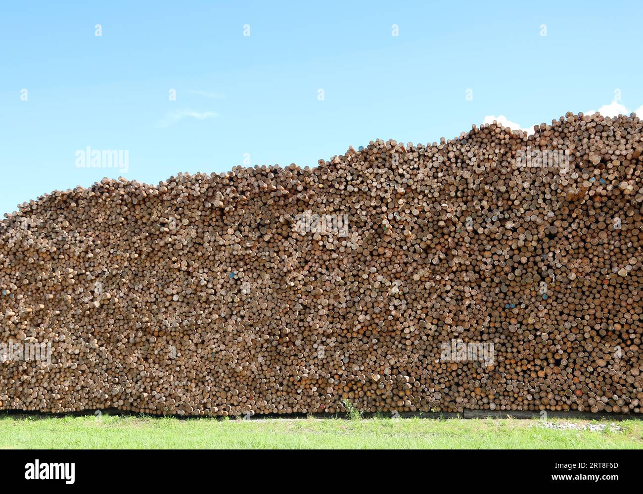cut logs stacked on top of each other in industrial sawmill Stock Photo ...