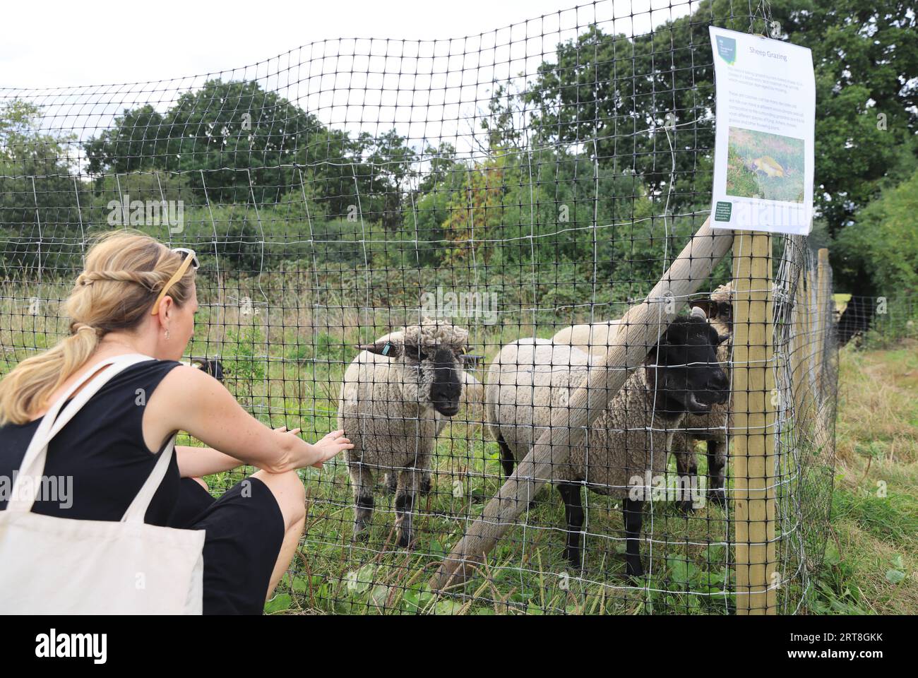 Increase biodiversity hi-res stock photography and images - Alamy