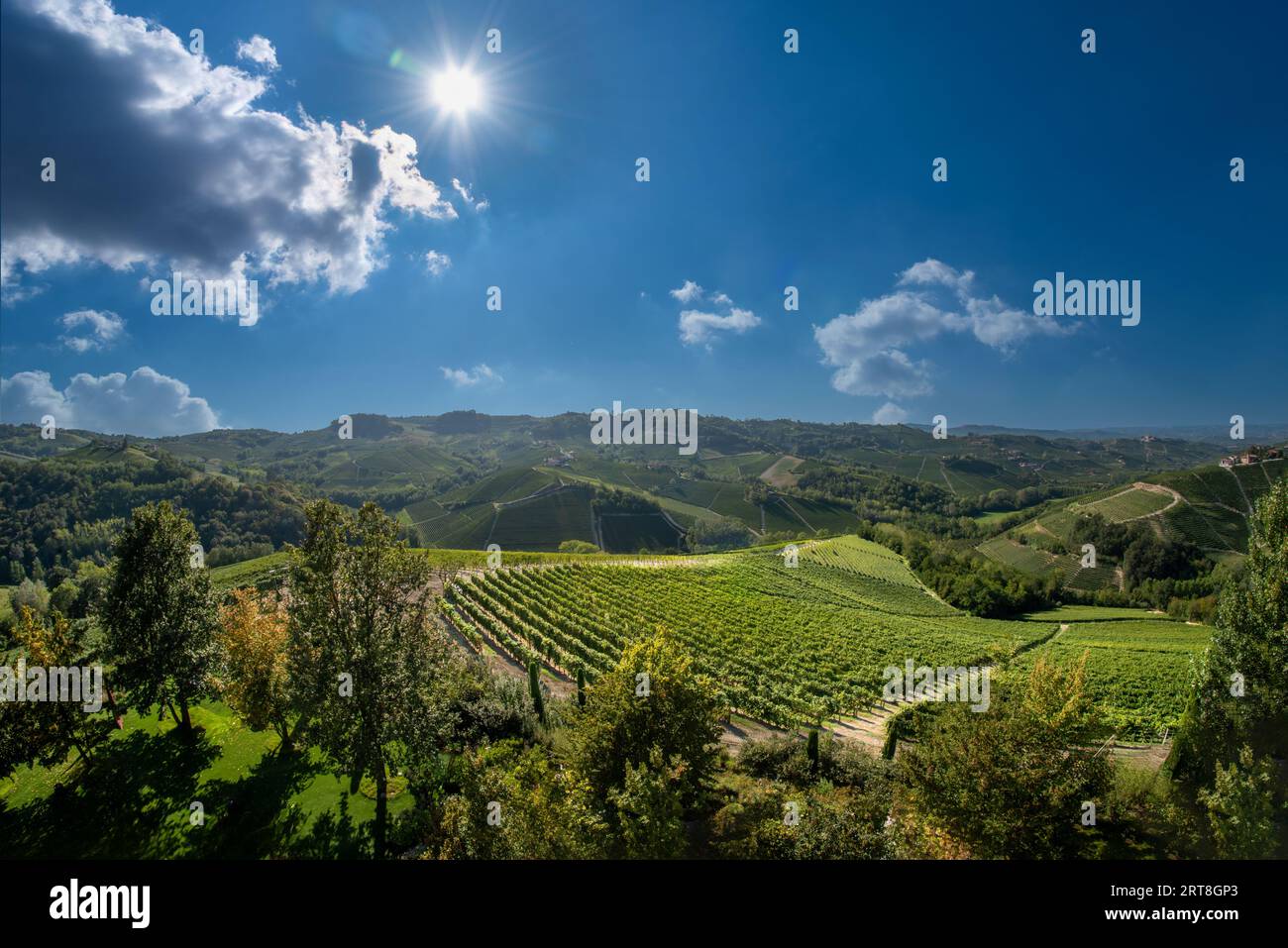 Landscape in the Langhe hills, with a view of vineyards in the typical ...