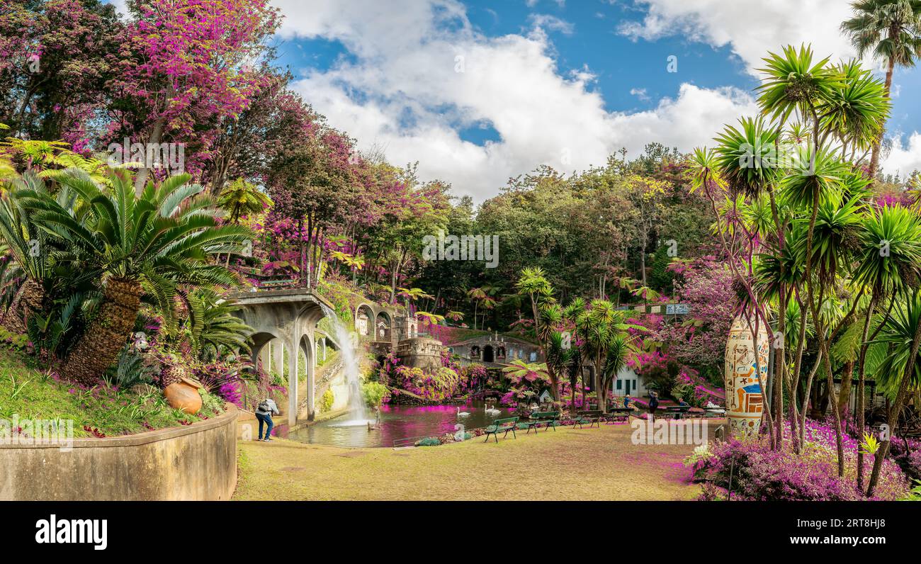 Landscape with tropical garden in the Monte Palace, Funchal, Madeira ...